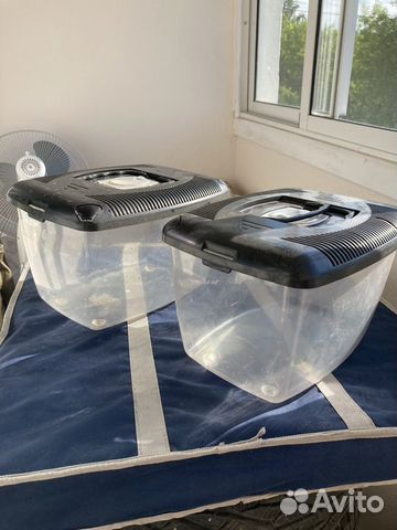 Контейнер для насекомых