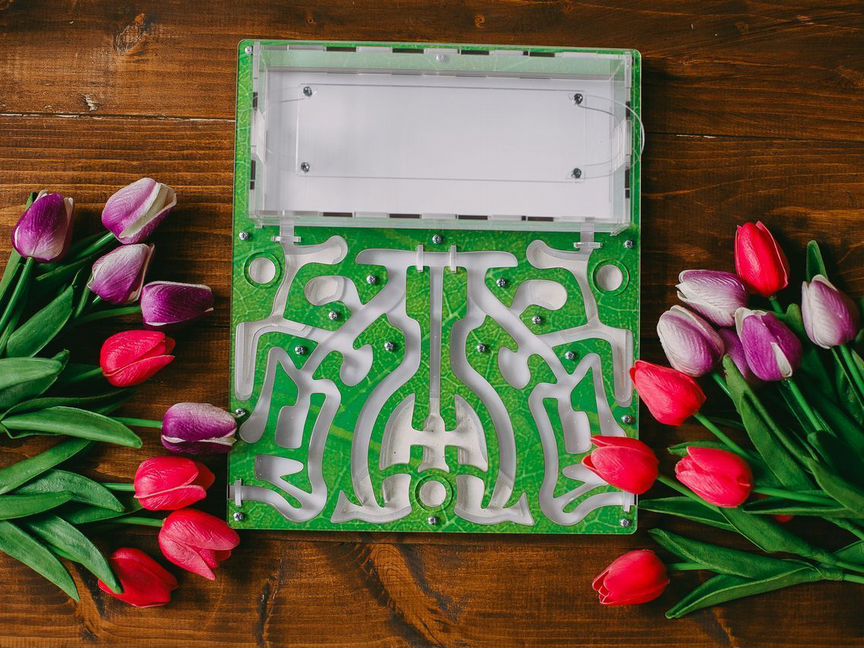 Муравьиная ферма / Формикарий