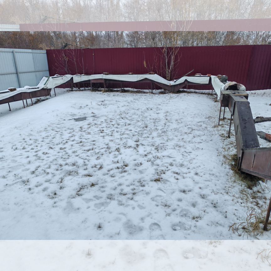 П-образная нора для испытания норных собак