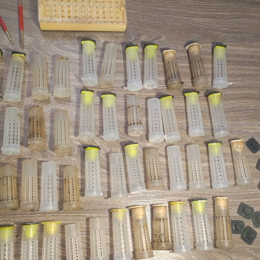 Система никот Прививочная рамка для вывода маток