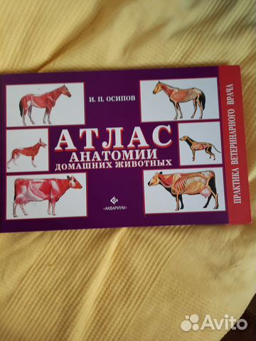 Атлас анатомии домашних животных, автор И.П. Осипов.... купить в Москве ...