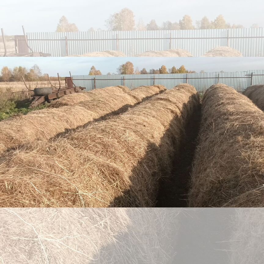 Сено в рулонах