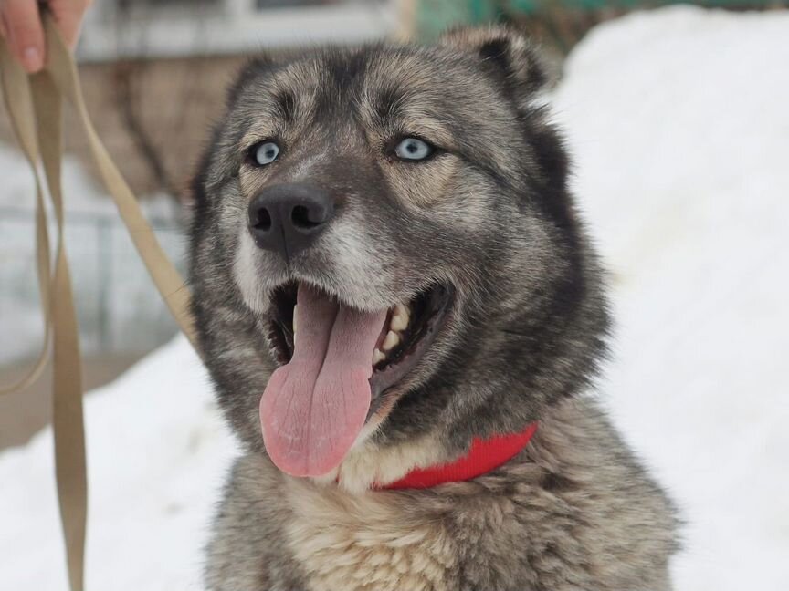 Красавица Маша ищет дом