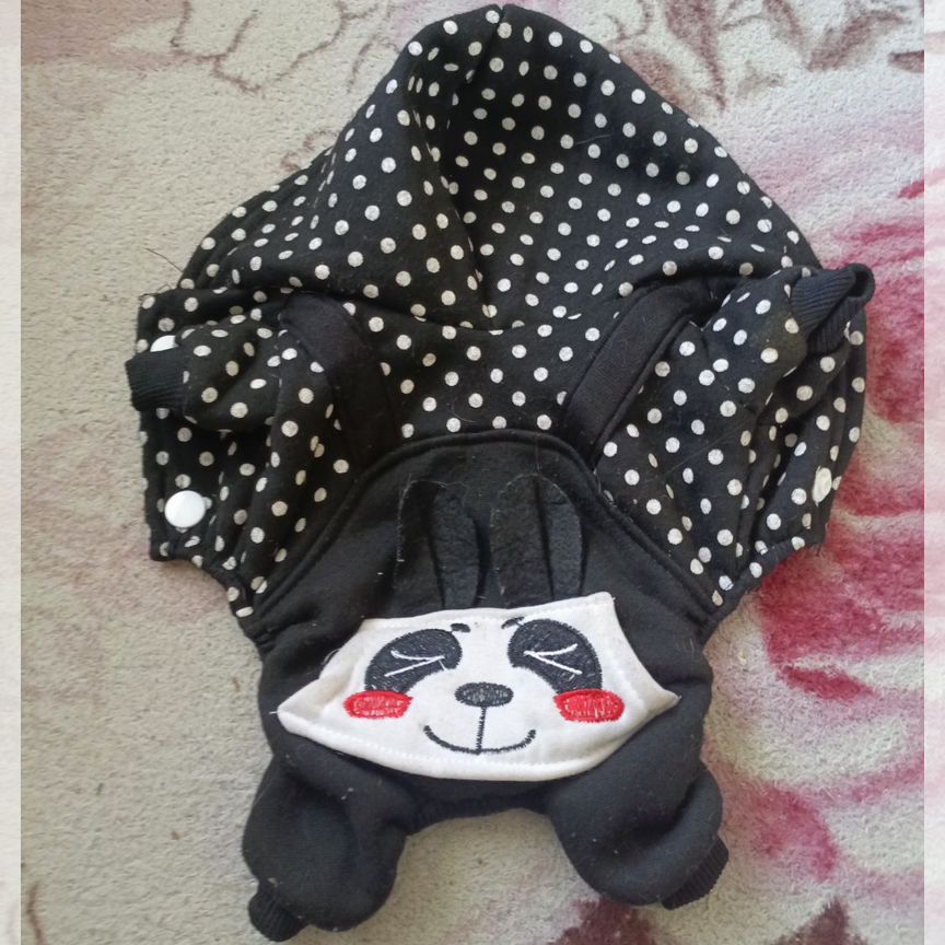 Одежда для собак мелких пород