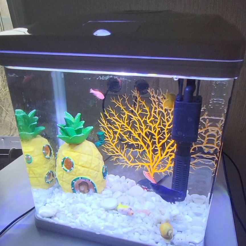 Аквариум с рыбками