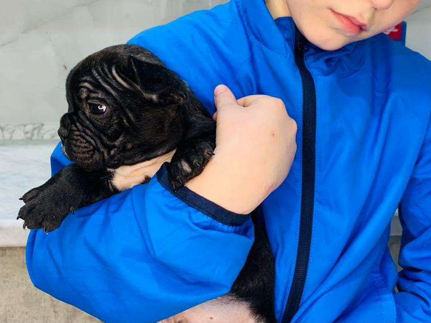 Няшки французяшки