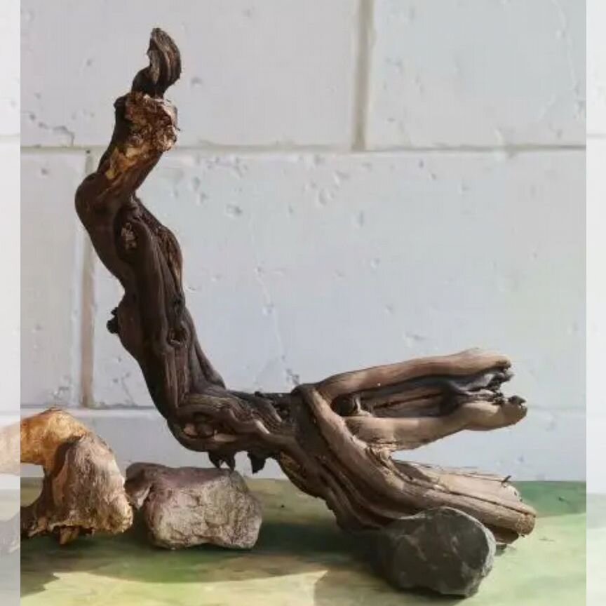 Коряга для аквариума