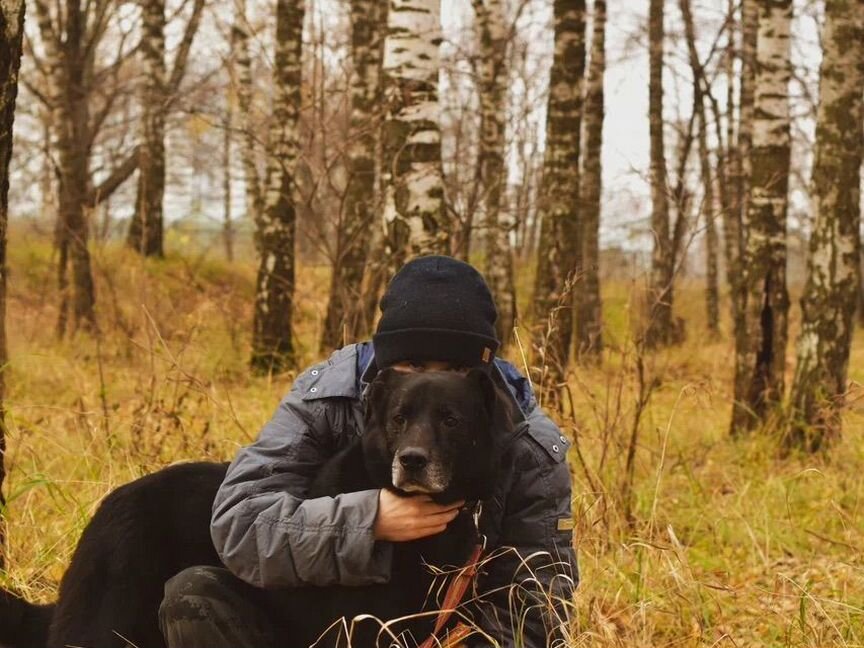 Потап хочет домой