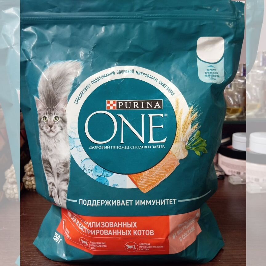 Корм для кошек