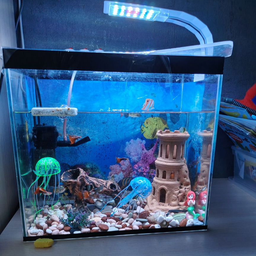 Продам аквариум с рыбками