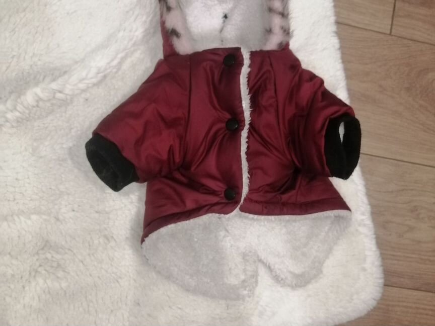 Костюм для маленькой собаки размер m