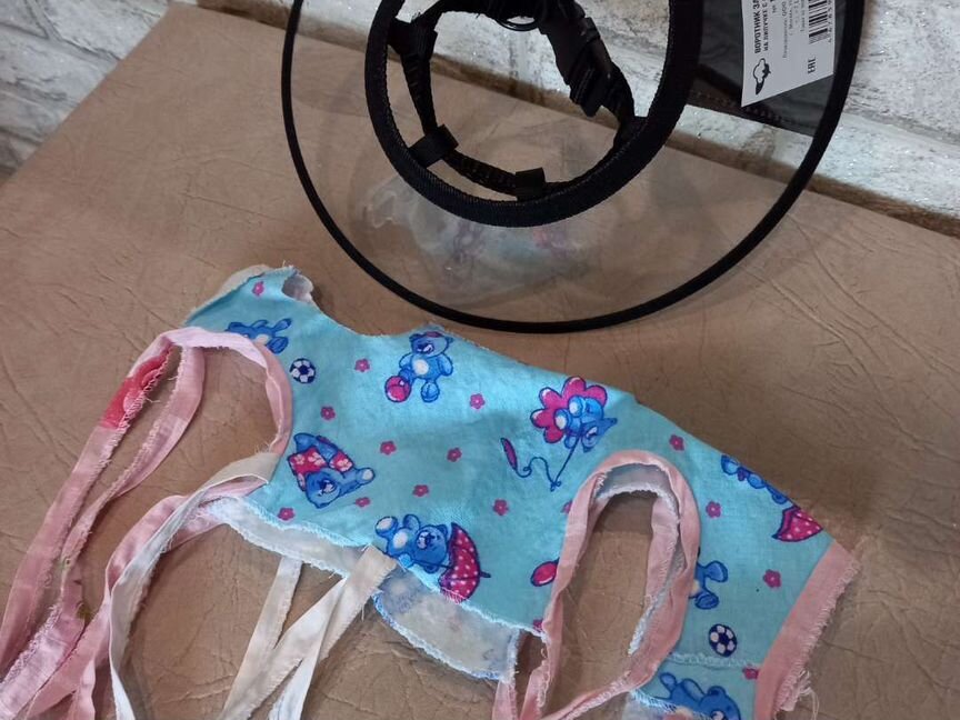 Защитный воротник для собак