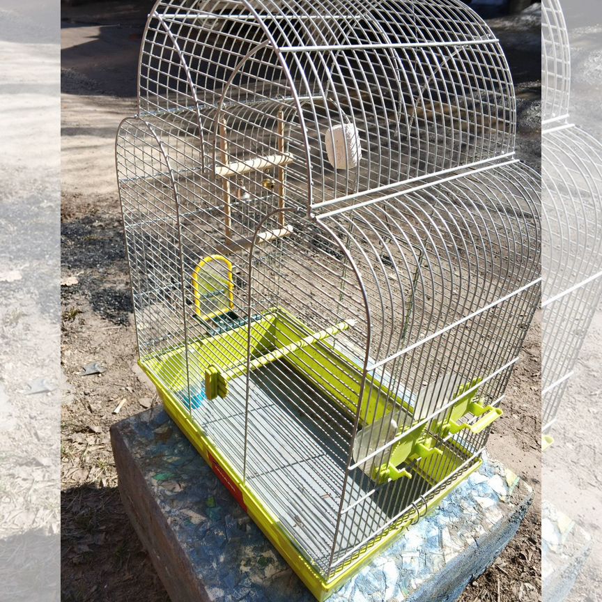 Клетка для птиц большая