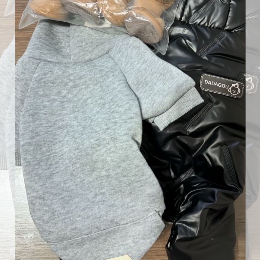 Одежда для собак