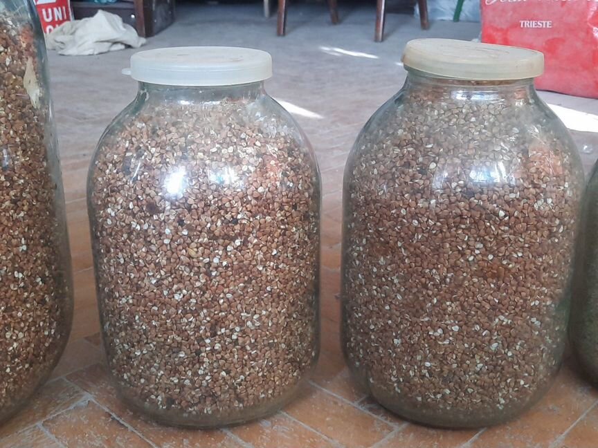 Просрочка на корм