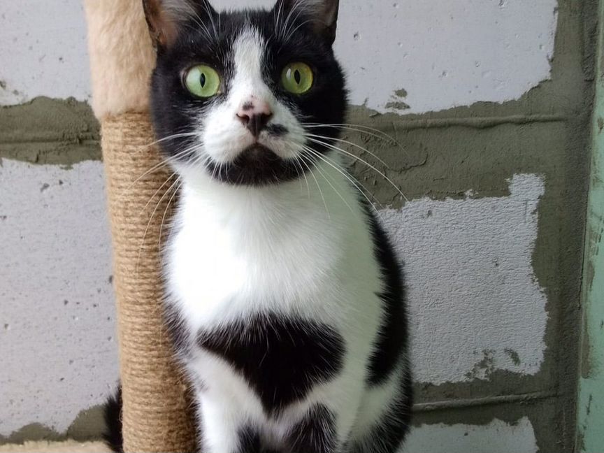 Его никто не замечает