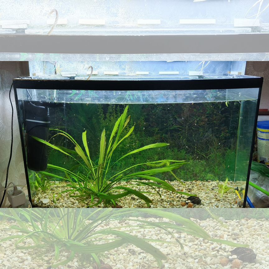 Аквариум полный комплект и оборудование