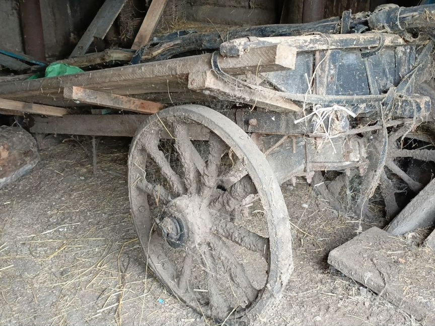 Сани телега для лошади