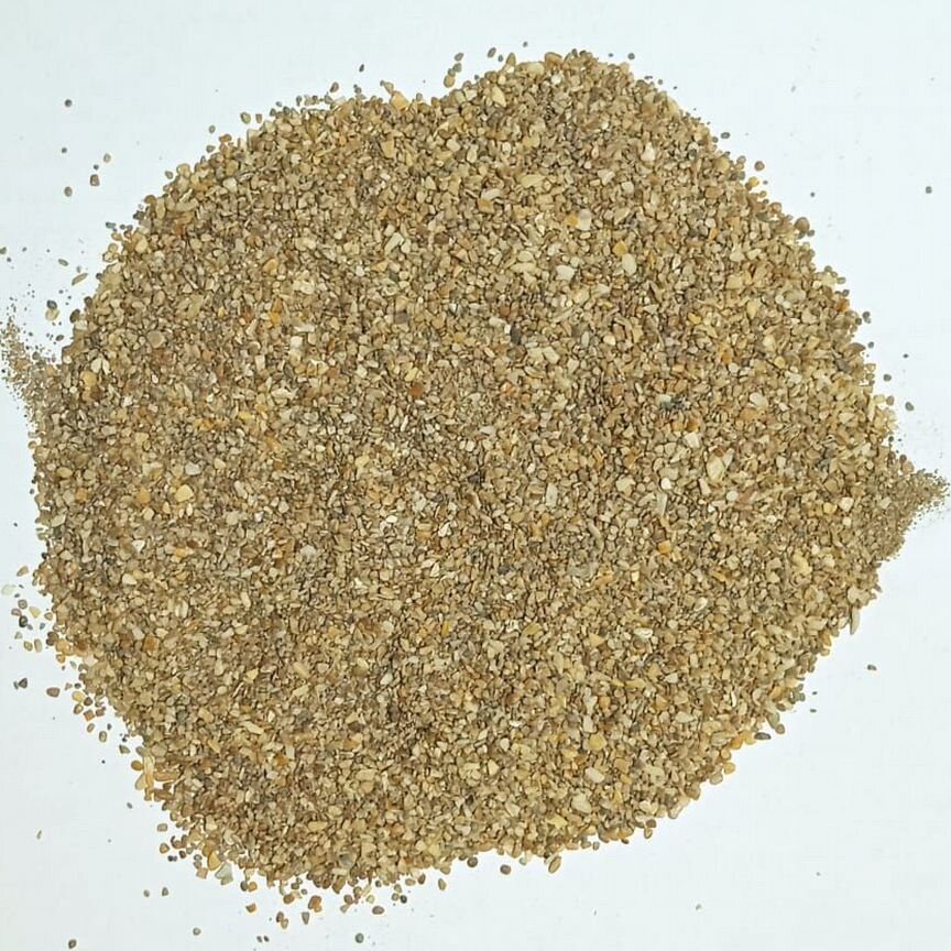 Ракушка морская кормовая