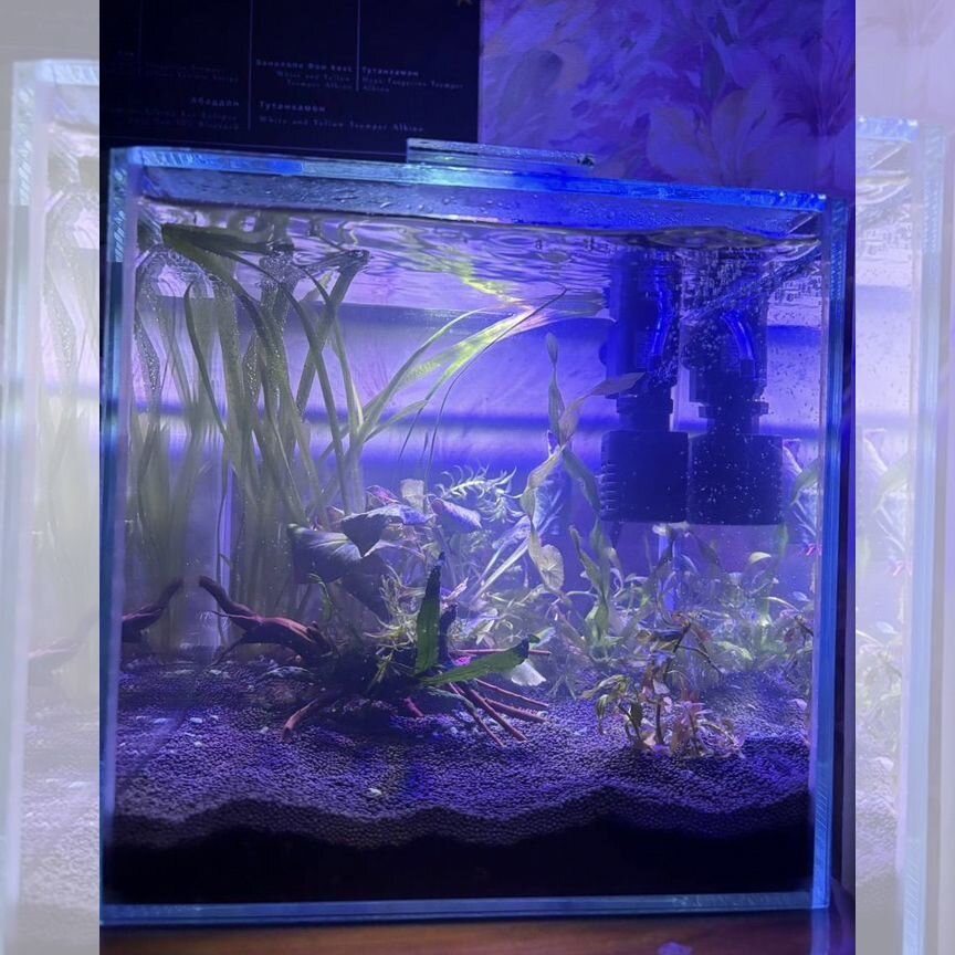 Аквариум куб 10л