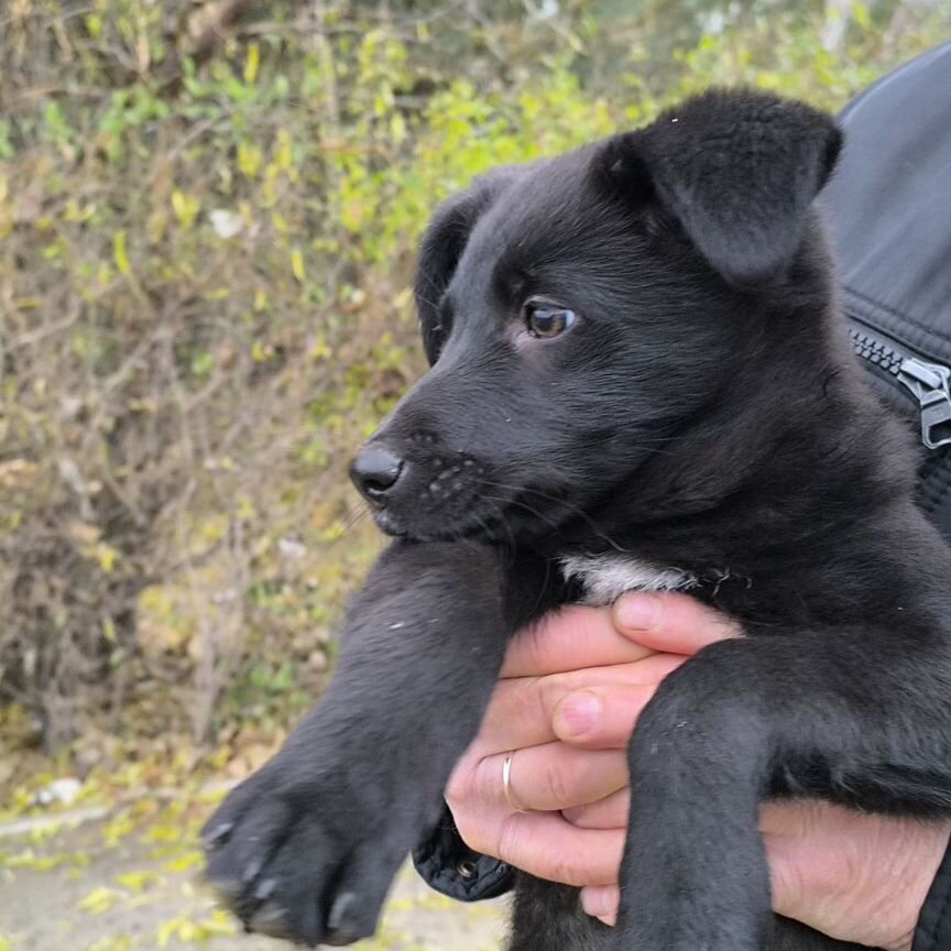 Малышка ищет семью