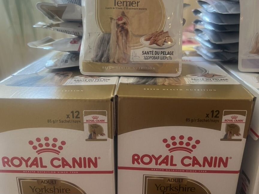 Влажный корм для собак royal canin