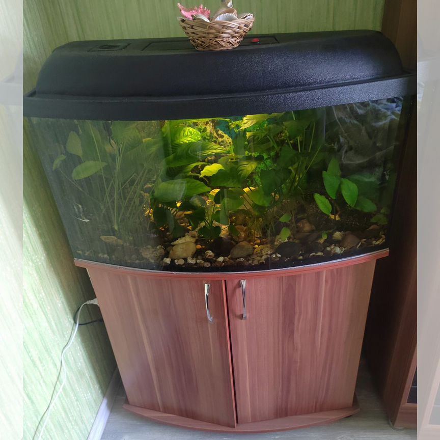 Продаю аквариум с тумбой