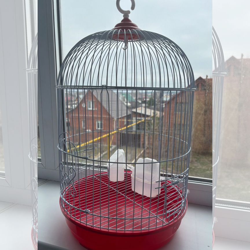 Новая клетка для попугая