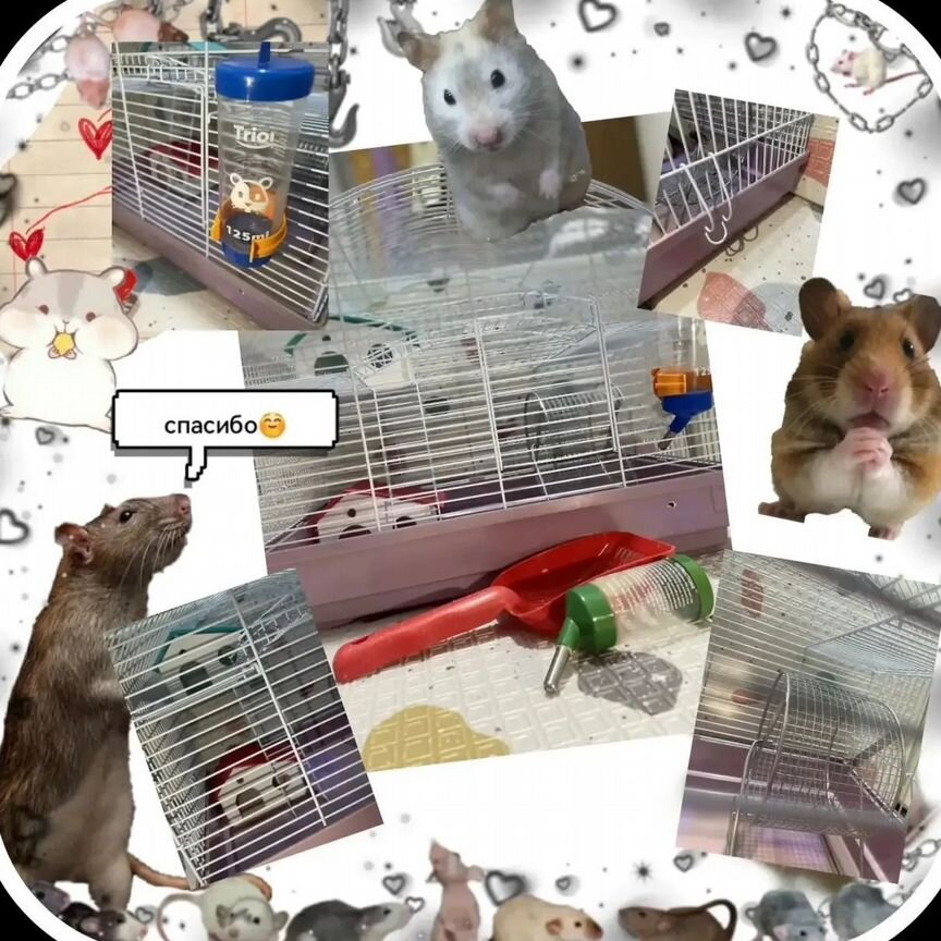 Клетка для грызунов