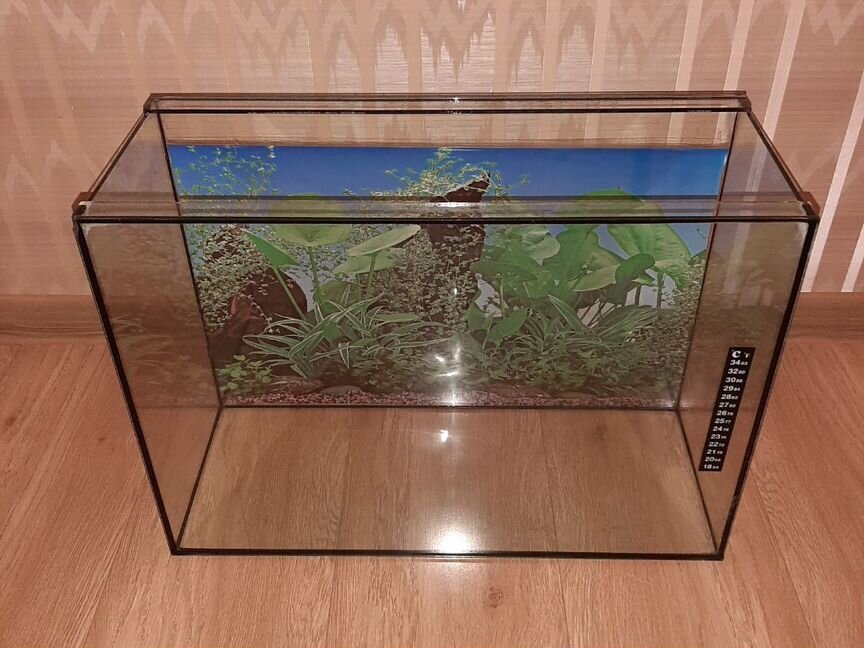 Аквариумные.рыбки