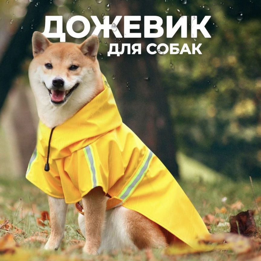 Дождевик для крупной собаки