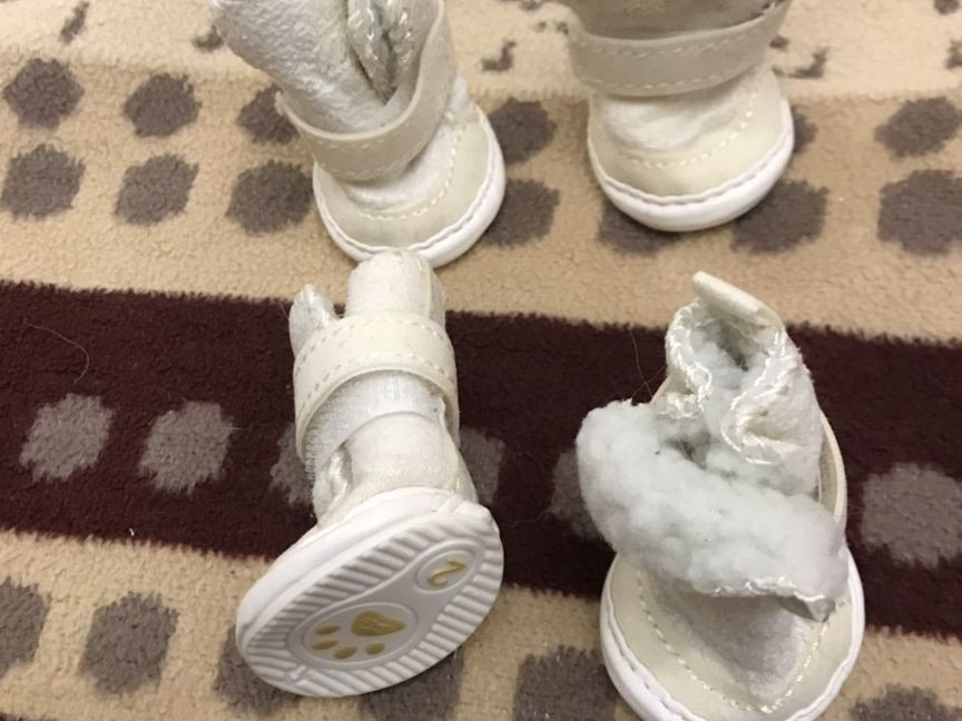 Обувь для маленьких собак