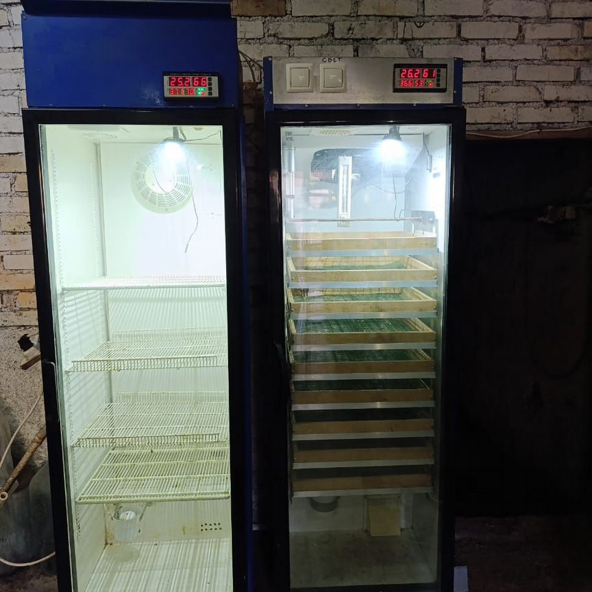 Инкубатор на 1000 яиц