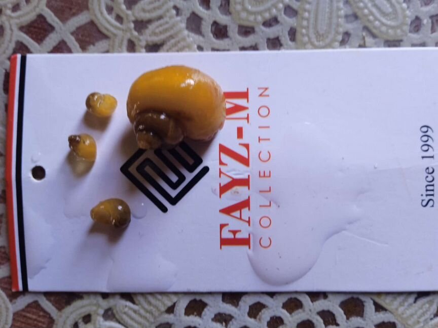 Улитки ампулярии желтые