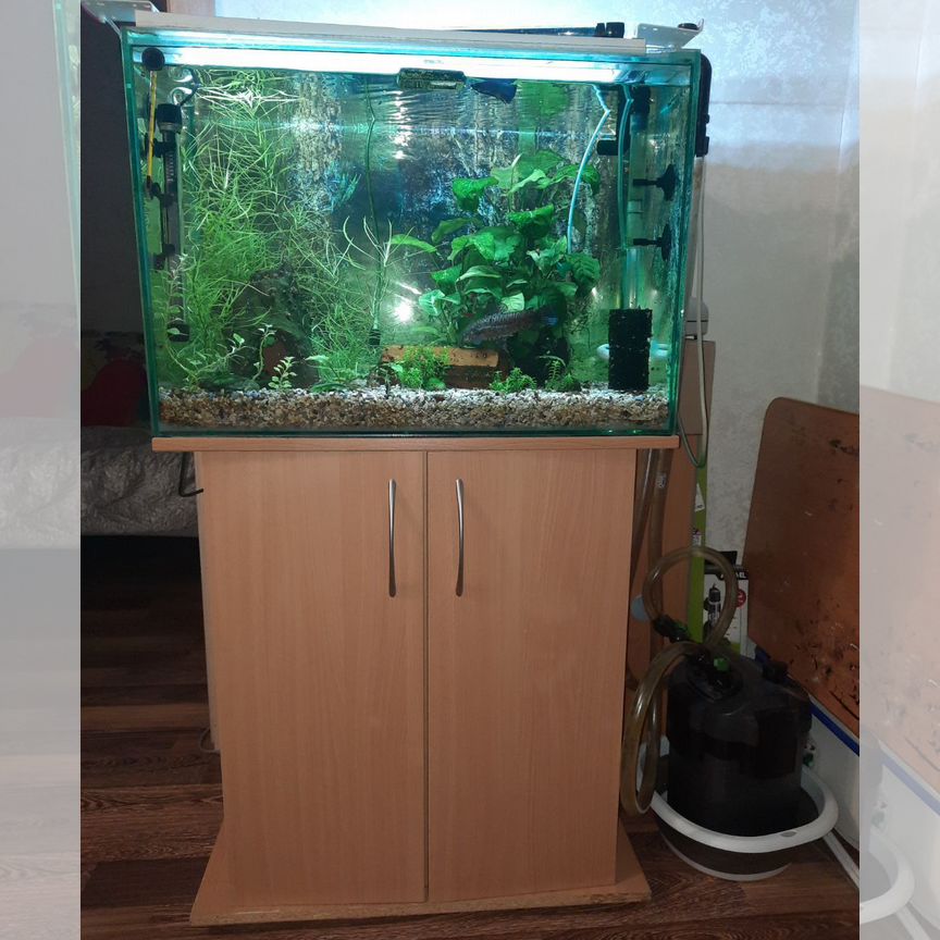 Аквариумный комплекс