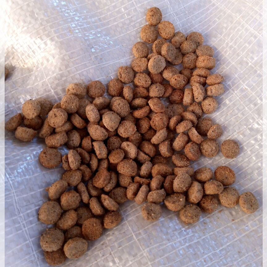 Корма для животных