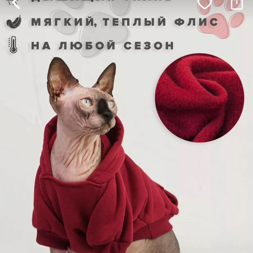 Толстовка для кота