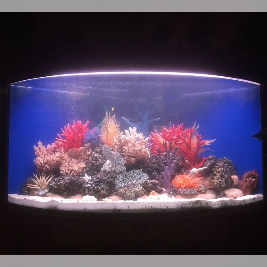 Аквариум с тумбой 300 литров хабаровск