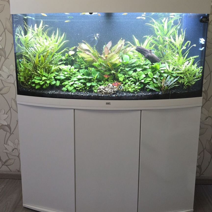 Аквариум с тумбой Juwel Vision 260