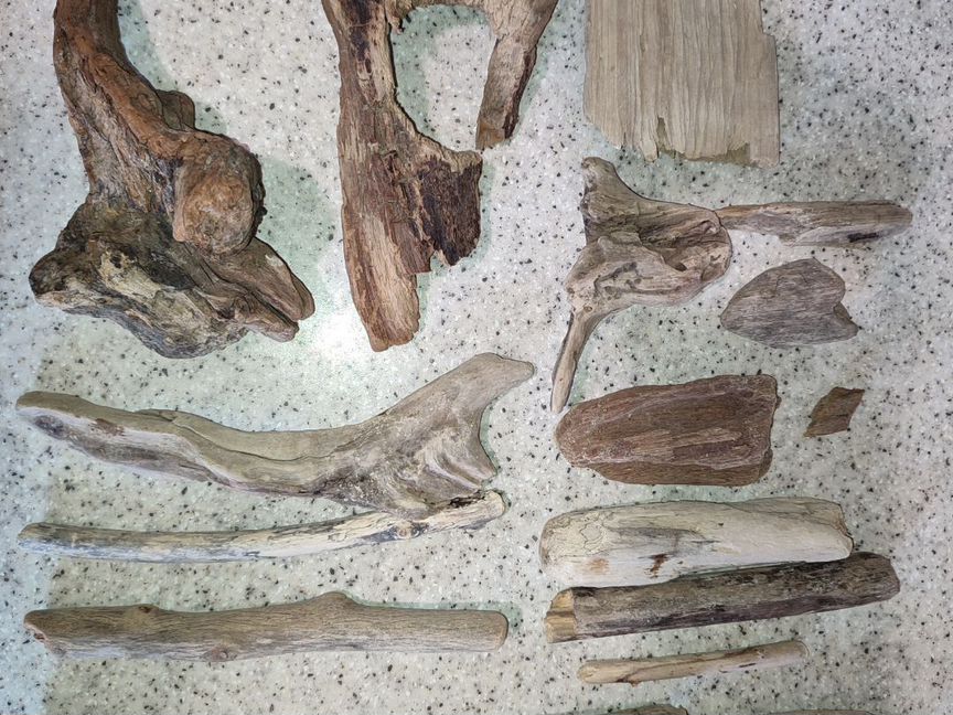 Коряги дрифтвуд