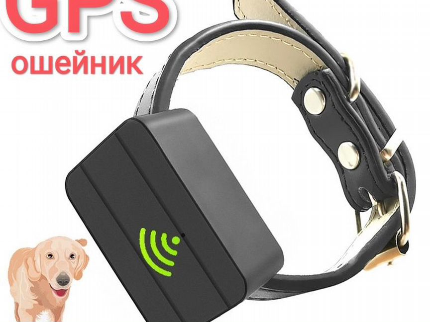 Gps ошейник для животных