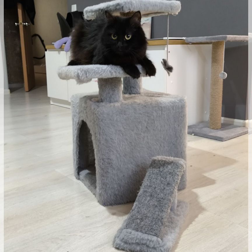 Комплекс для кошек Когтеточка домик