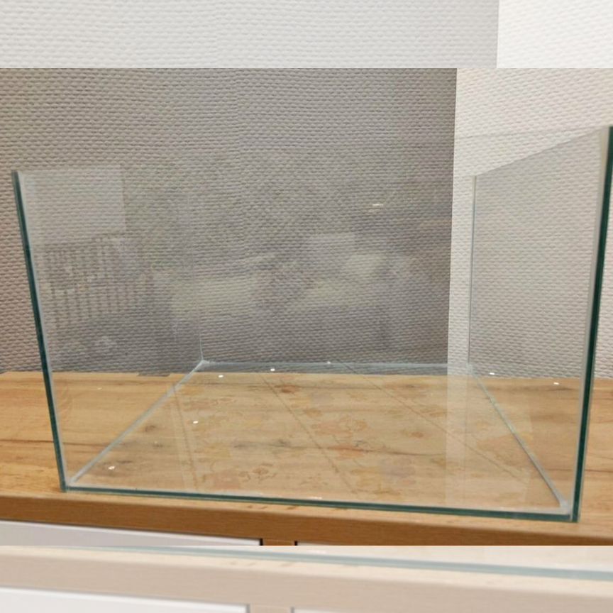 Террариум/флорариум