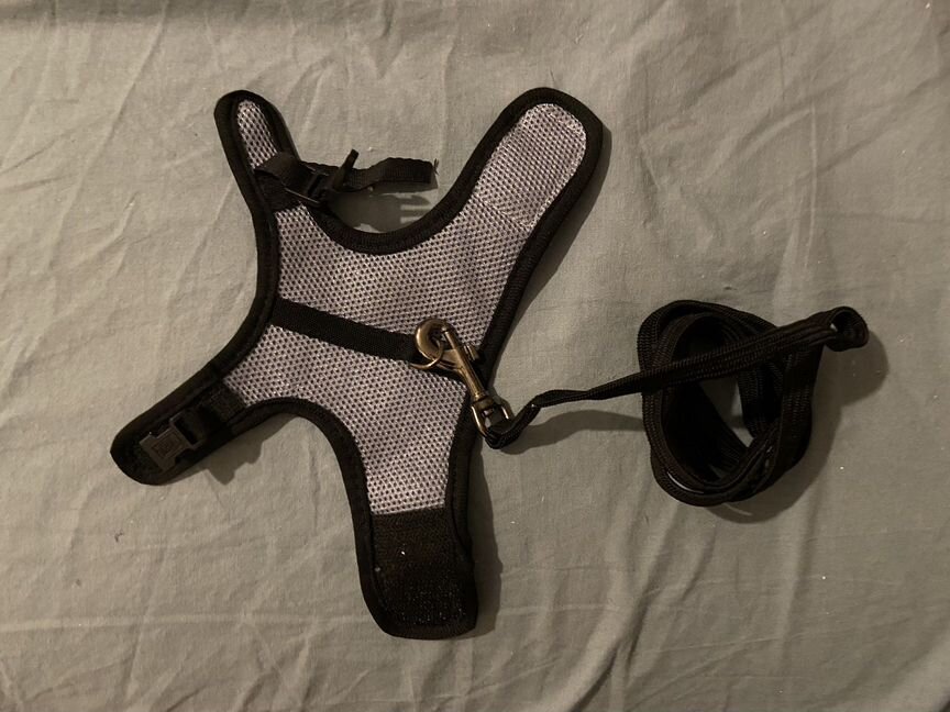 Шлейка trixie для мелких грызунов