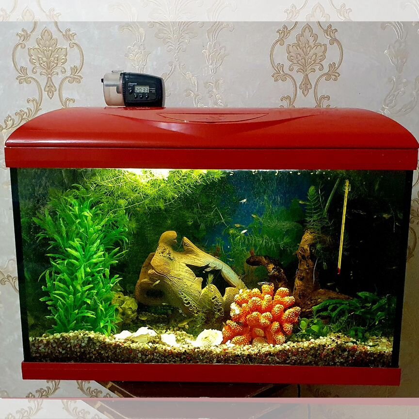 Аквариум 60 л с автокормушкой и таймером