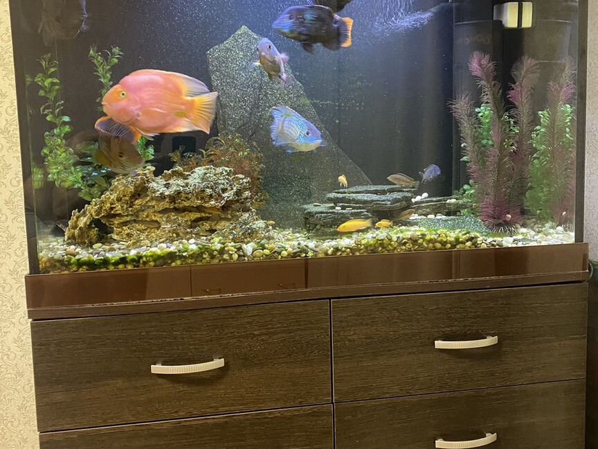 Аквариум с тумбой