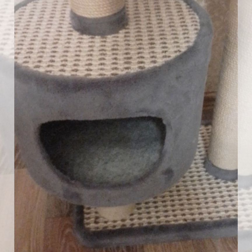 Комплекс для кошек