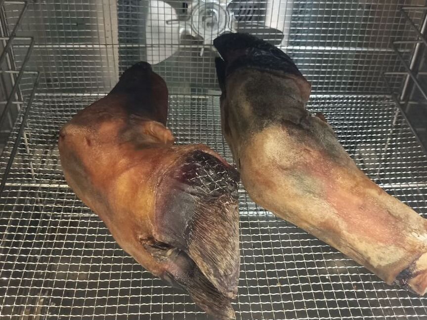 Сушеные лакомства для собак