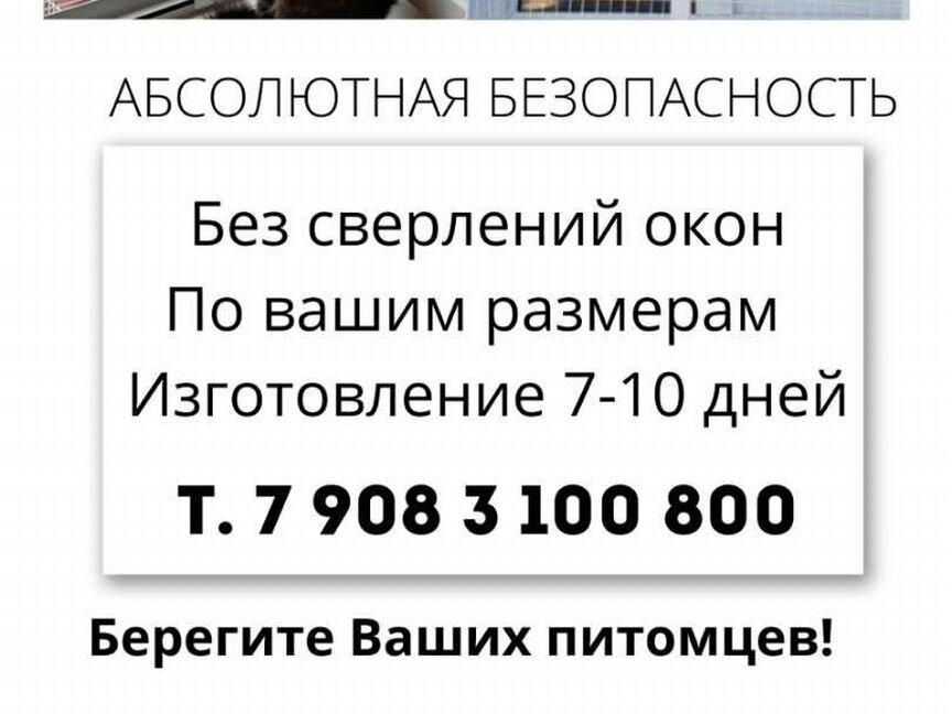 Сетка кошка
