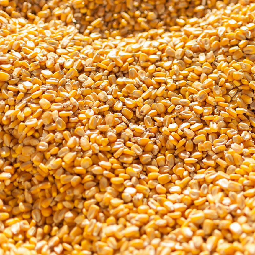 Кукуруза зерно